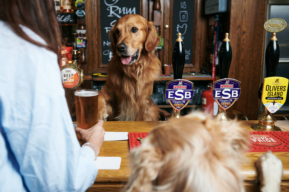 Get Paid To Go To Pubs And Determine Most Dog-Friendly One