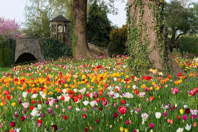 These Gorgeous Gardens Are Straight Out Of A Fairytale