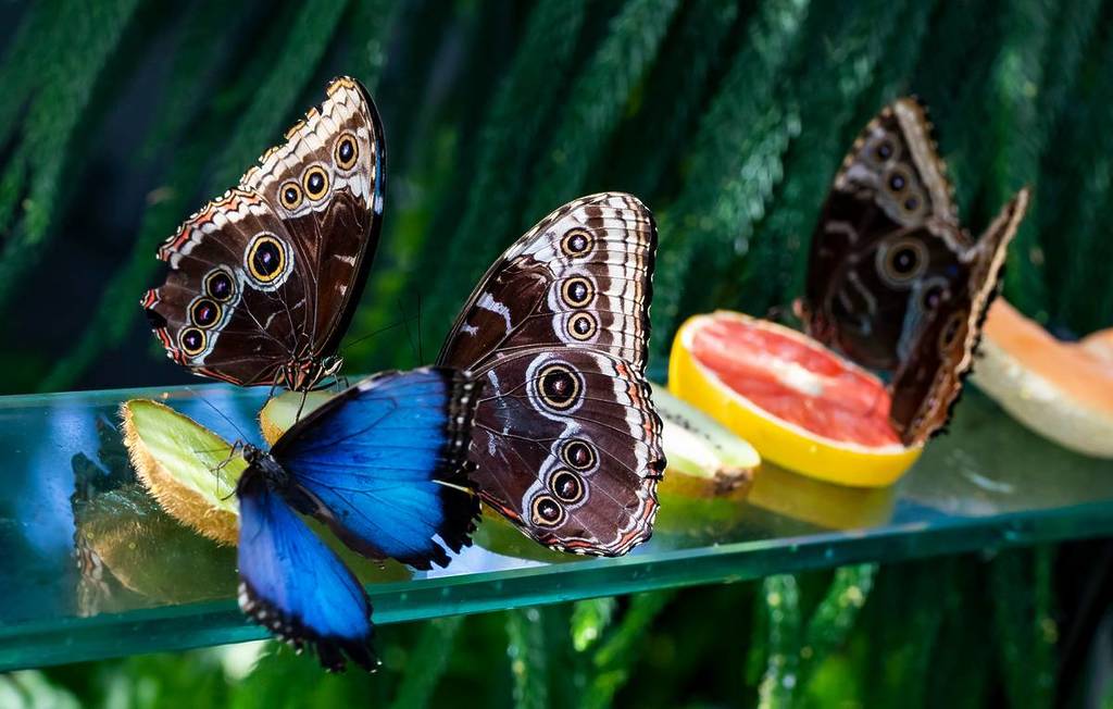 11 Of The Best Budget Friendly Activities In London