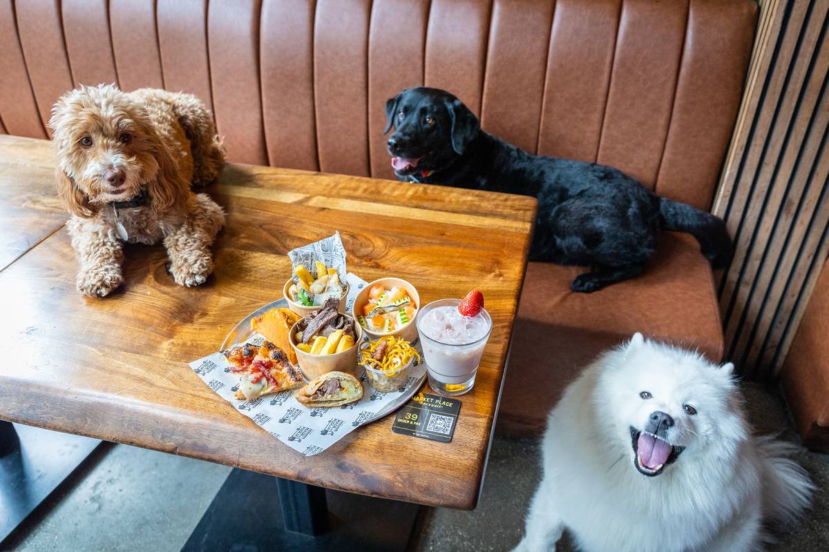 A Street Food Market For Dogs Is Coming To London Soon