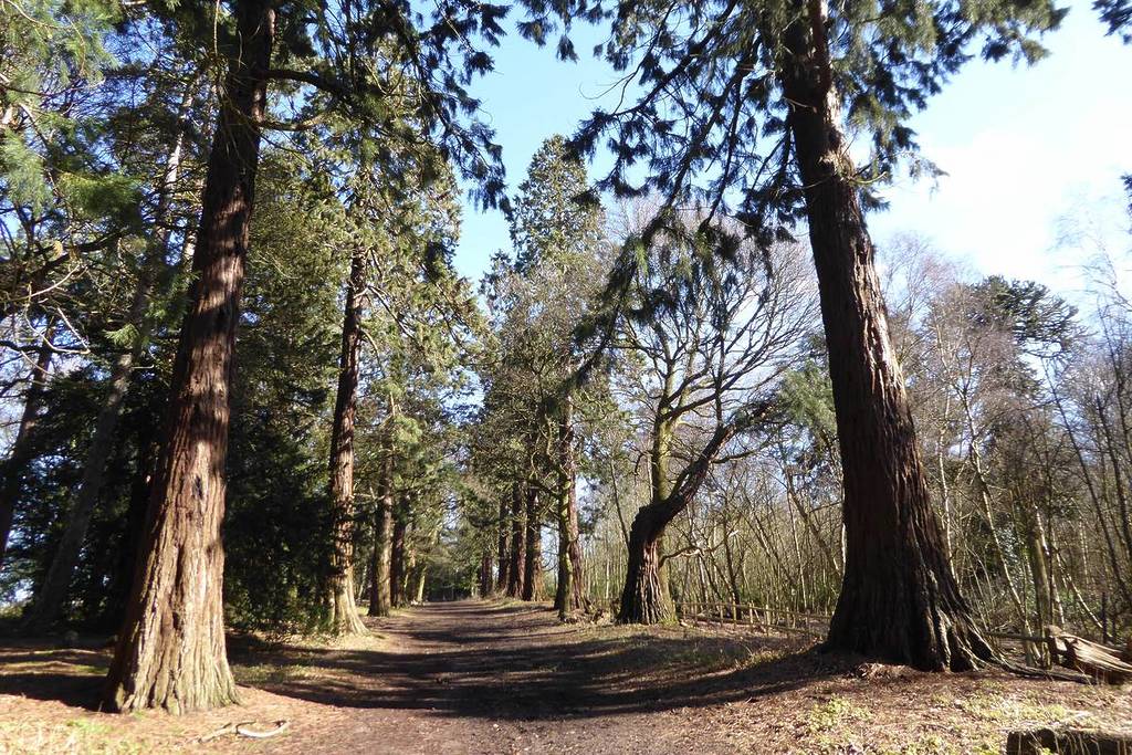 This Gorgeous Country Park In East London Is Lined With Giant ...