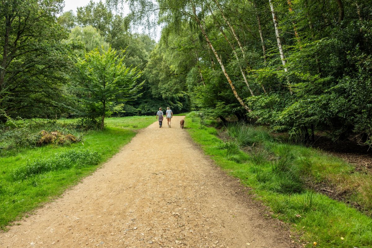 London Running Routes Named Among The Most Scenic In UK