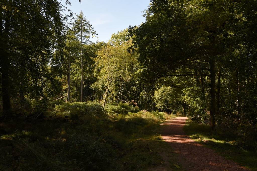 London Running Routes Named Among The Most Scenic In UK