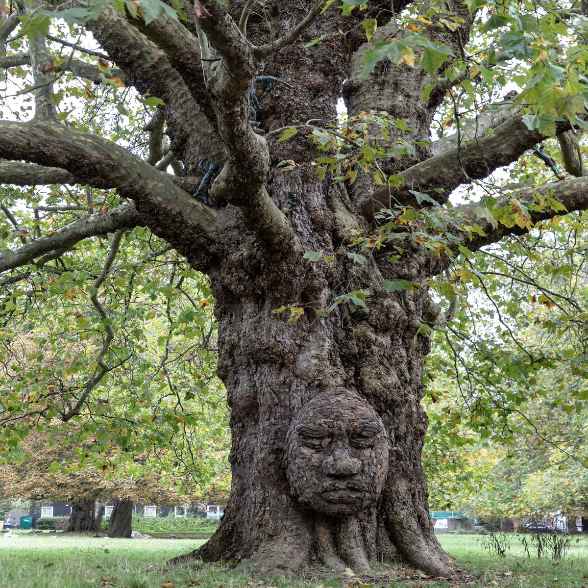 12 Of The Best Things To Do In Acton For A Fab Day Out