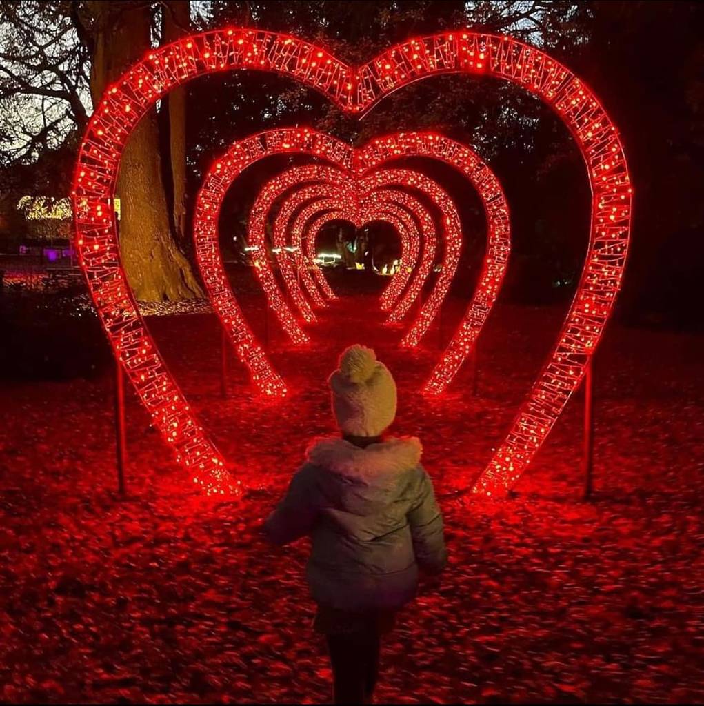 This Luminous Winter Lights Trail Will Transform Fulham Palace