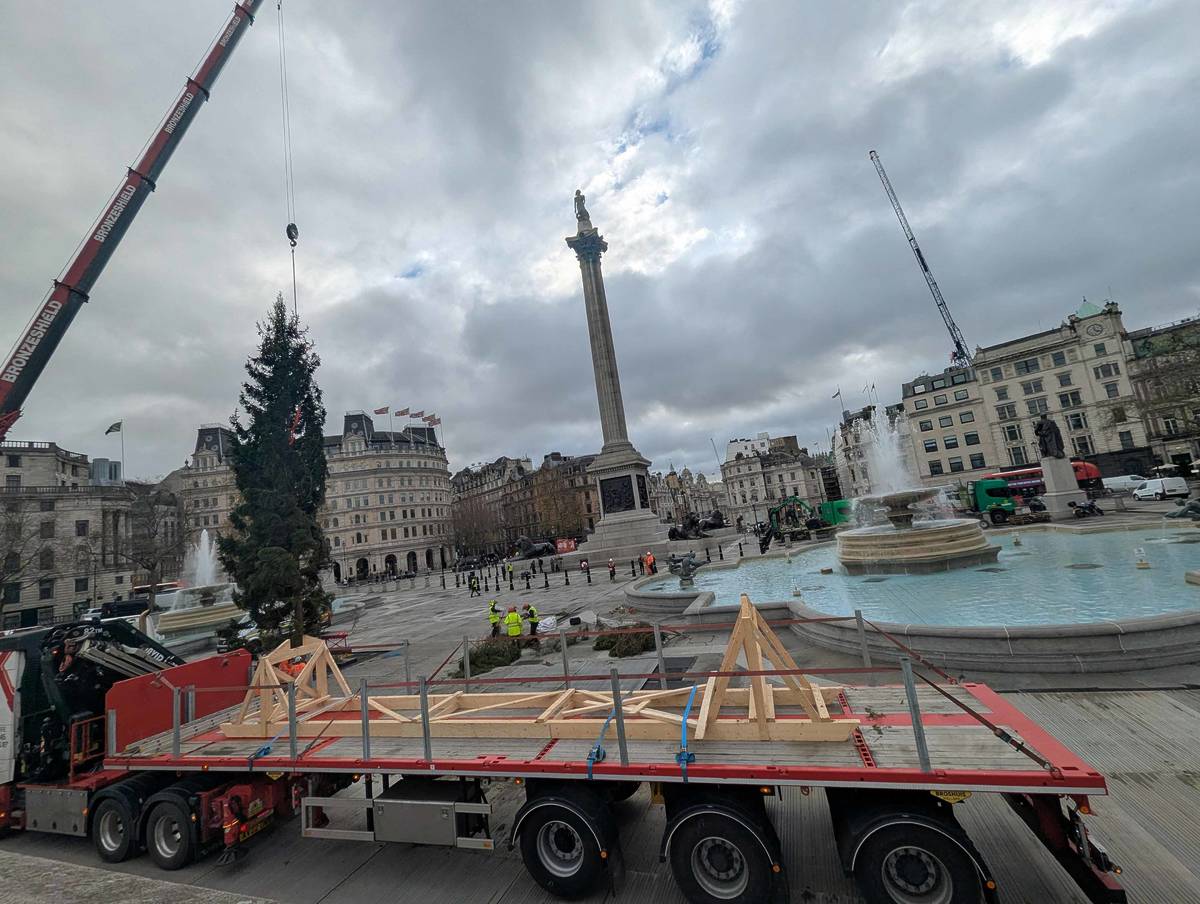 Trafalgar Square Christmas Tree Arrived And Mocked Online