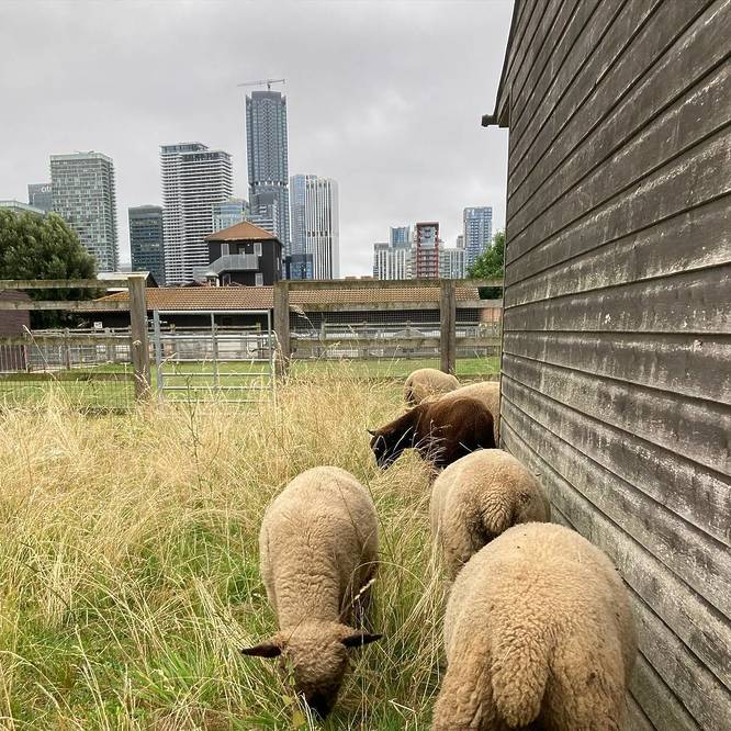 11 Standout Things To Do In And Around Surrey Quays