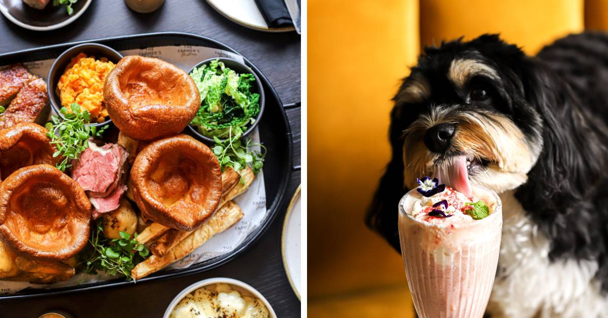This Battersea Brunch Spot Serves Up A Sunday Roast For Dogs