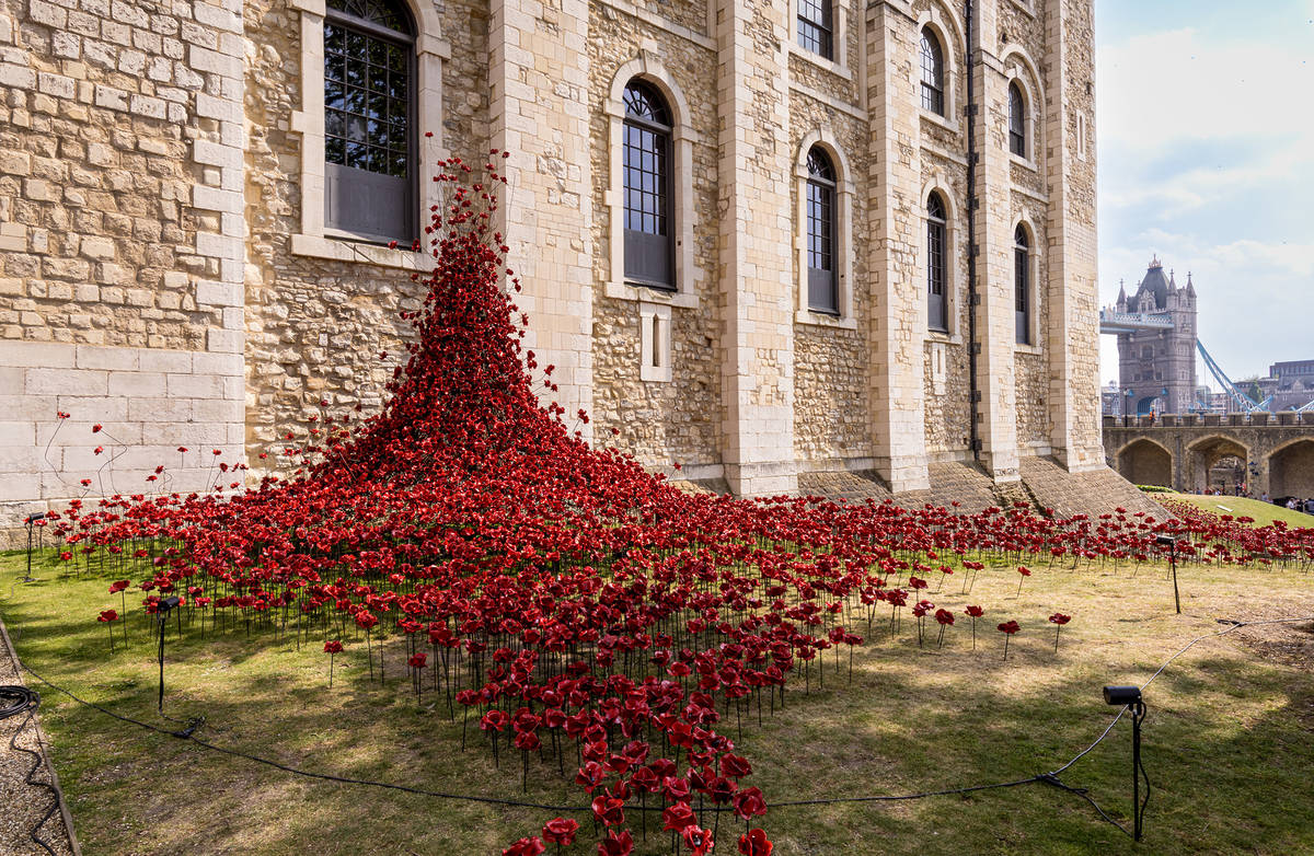 Thousands Of Ceramic Poppies Have Filled The Tower Of London In A ...