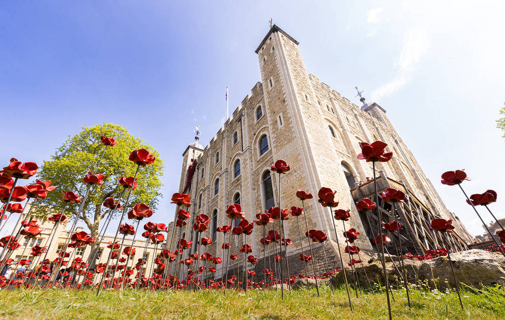 Thousands Of Ceramic Poppies Have Filled The Tower Of London In A ...