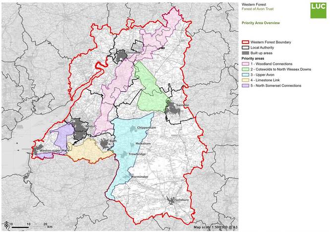 The UK To Plant First National Forest In 30 Years With Plans For 20 ...