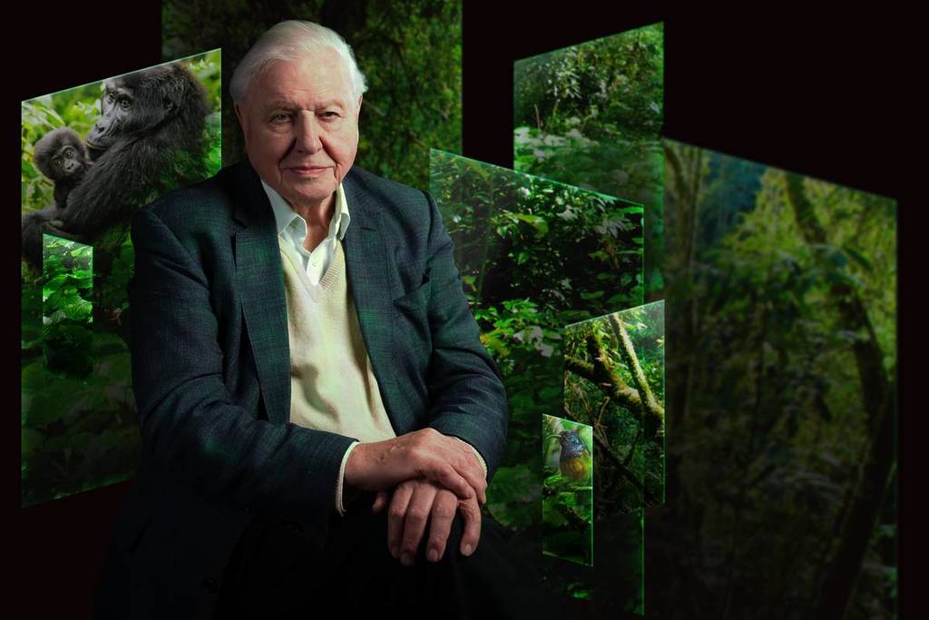 David Attenborough To Present A New Immersive Experience