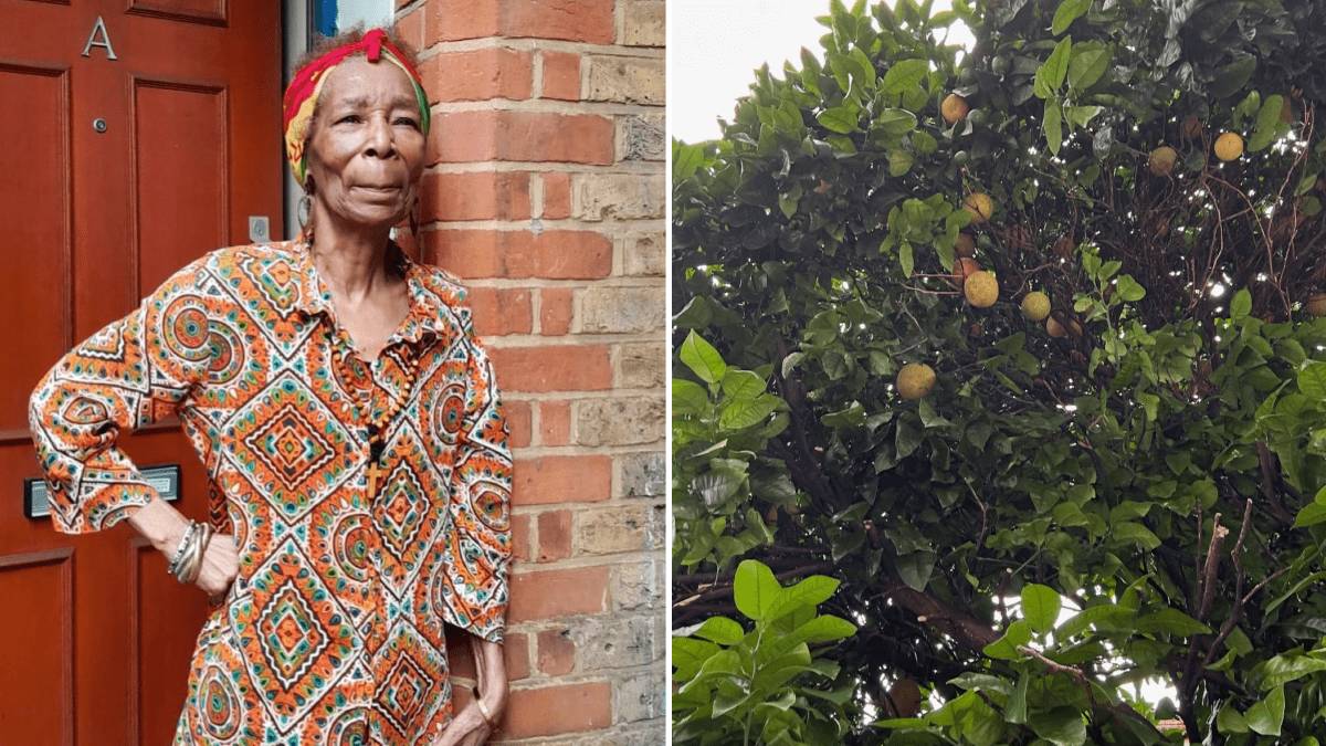 The Heartwarming Story Behind Battersea's Beautiful Grapefruit Tree