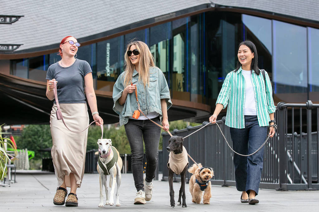 This Paw-fect Wellness Festival For Dogs Is Returning To London