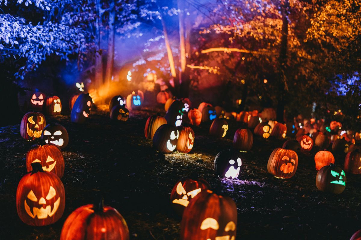 Immersive Halloween Experience Coming To Gunwharf Quays