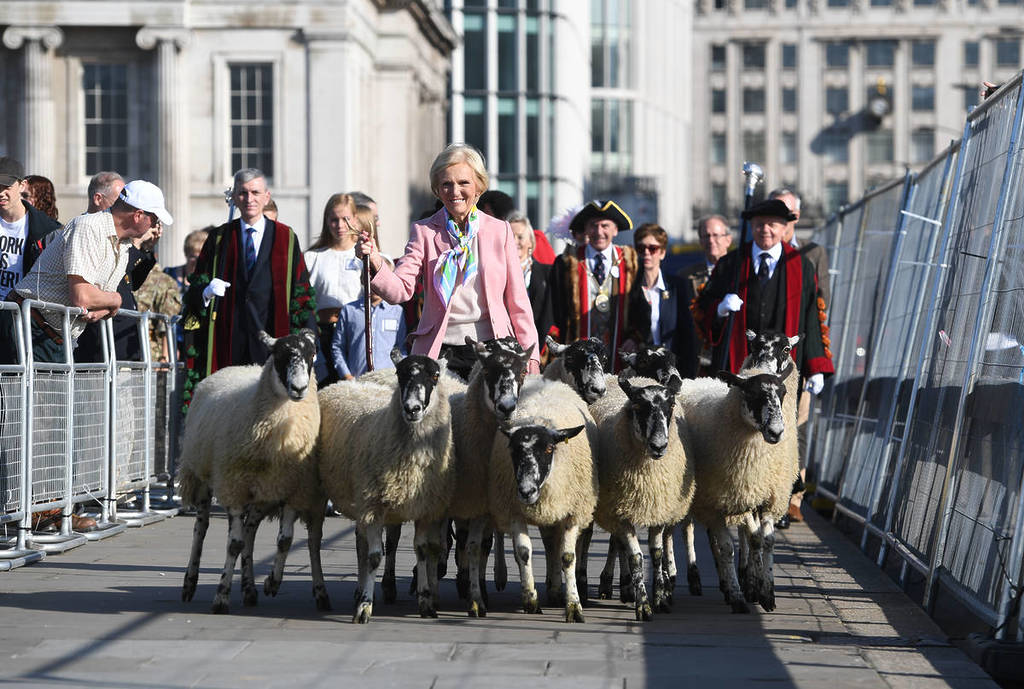 One Of The City's Highest Honours Allows You To Drive A Flock Of Sheep ...