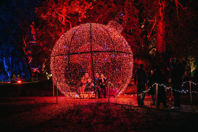 Christmas Light Festivals In London To Brighten Up Your Winter