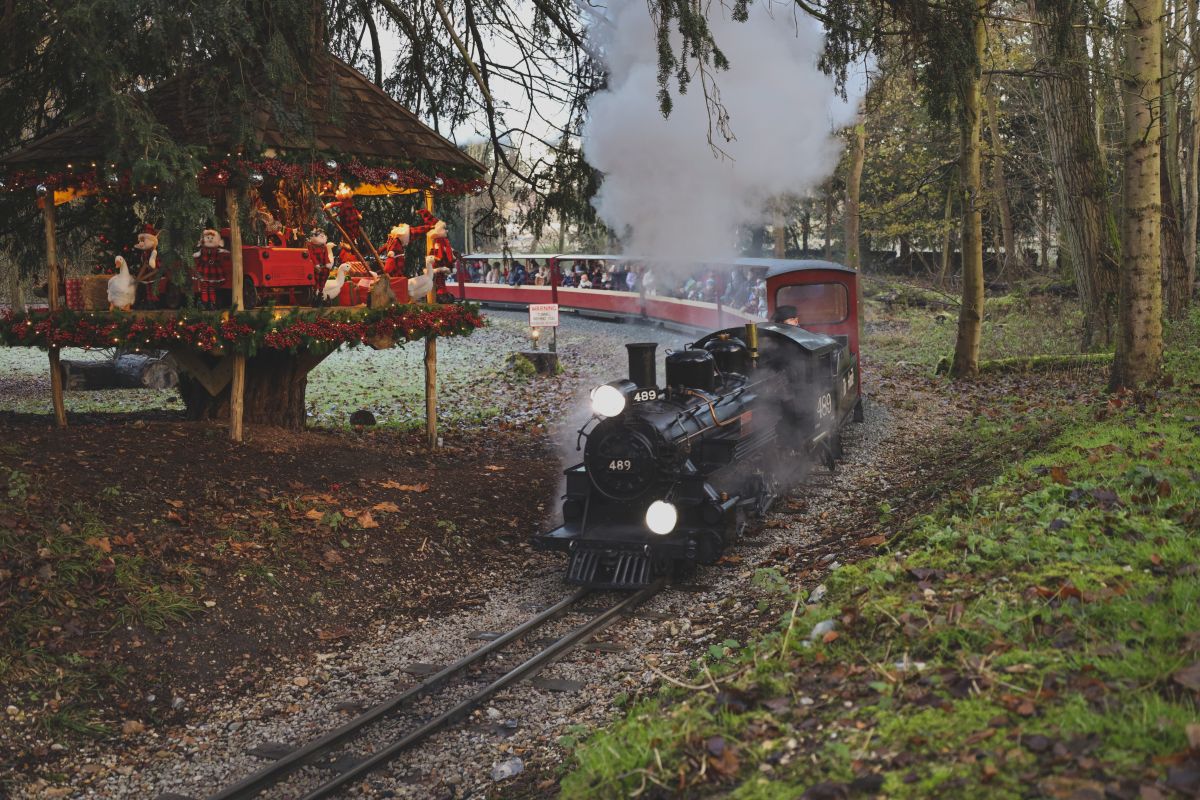 This Magical Christmas Train Ride Journeys Through An Enchanting ...