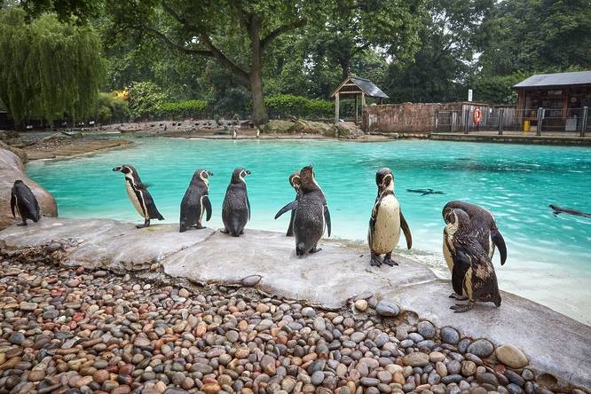 London Is Home To The World's Oldest Scientific Zoo - And It's Just ...