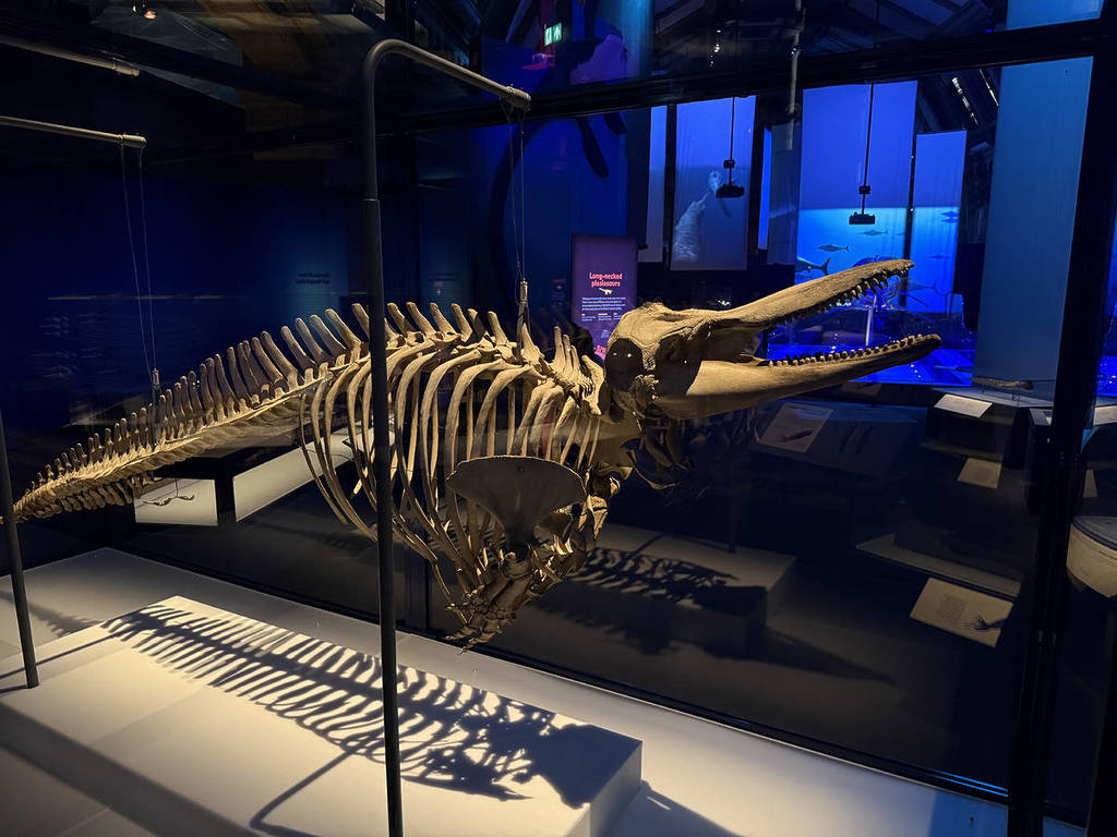 This fearsome new exhibition brings visitors face-to-face with the ...