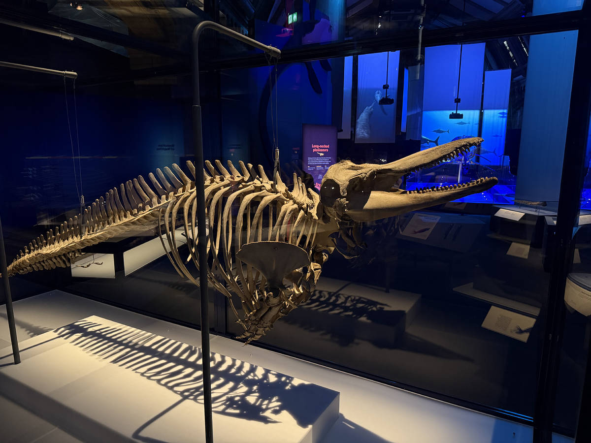 This fearsome new exhibition brings visitors face-to-face with the ...
