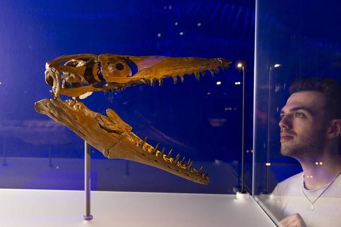 This fearsome new exhibition brings visitors face-to-face with the ...