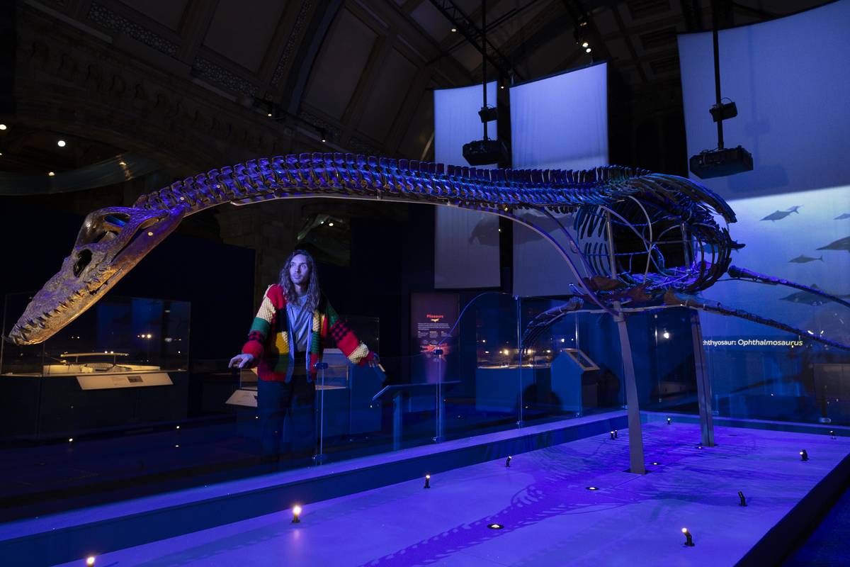 This fearsome new exhibition brings visitors face-to-face with the ...