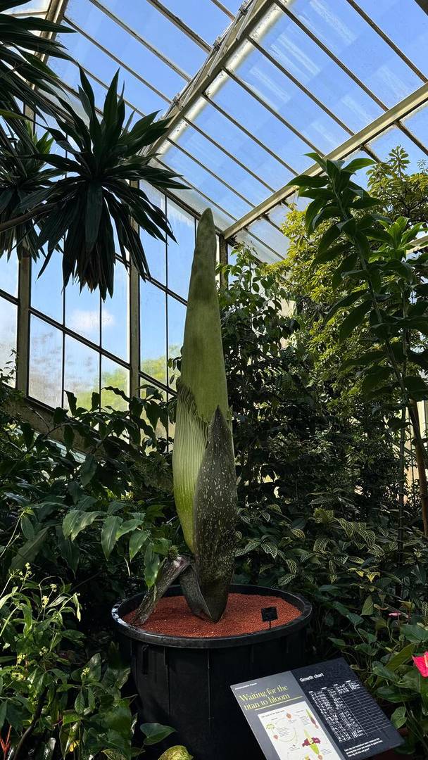 Mobile phones are set to be banned in schools across England - here's ...