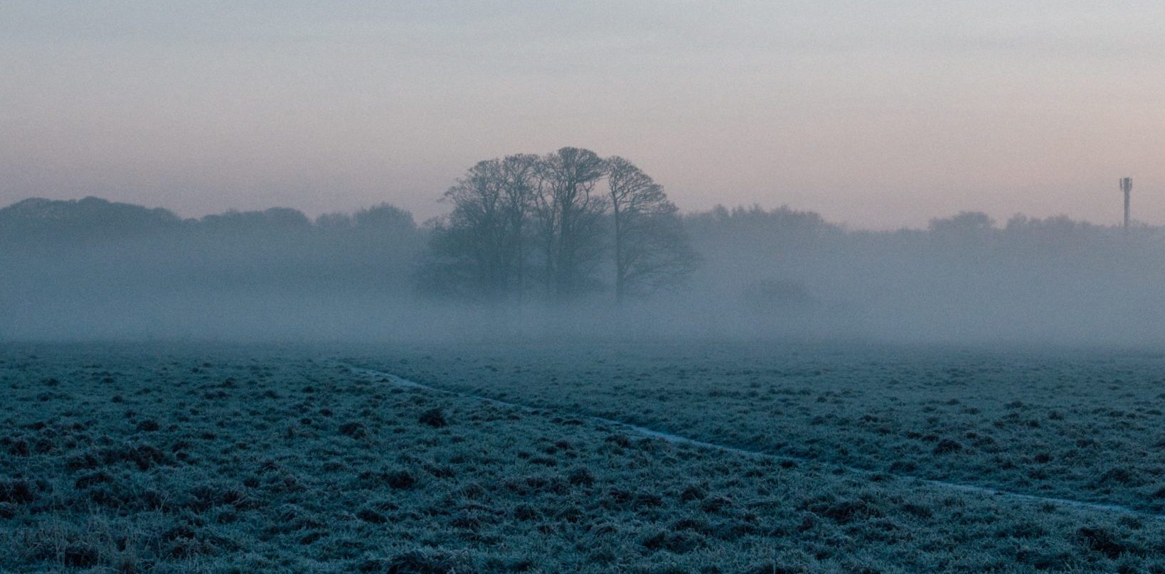 8 Of The Best Parks And Gardens In Liverpool - Secret Liverpool