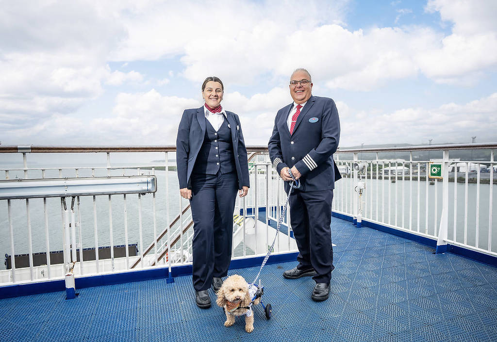 The Stena Line Ferry Is The Most Popular Pet-Friendly Way To Travel