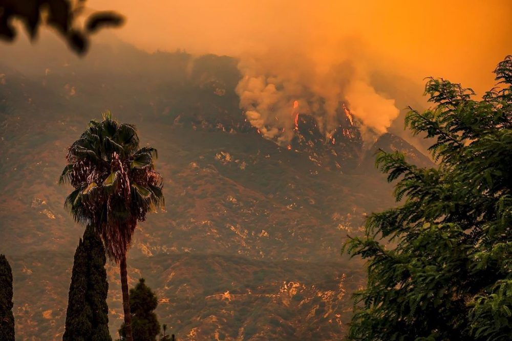 Here's How You Can Help Those Affected By The Recent Wildfires