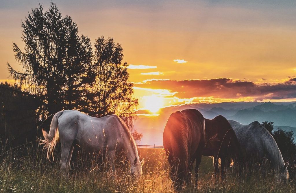 10 Incredible Outdoor Activities To Experience In Los Angeles 10 Incredible Outdoor Activities To Experience In Los Angeles