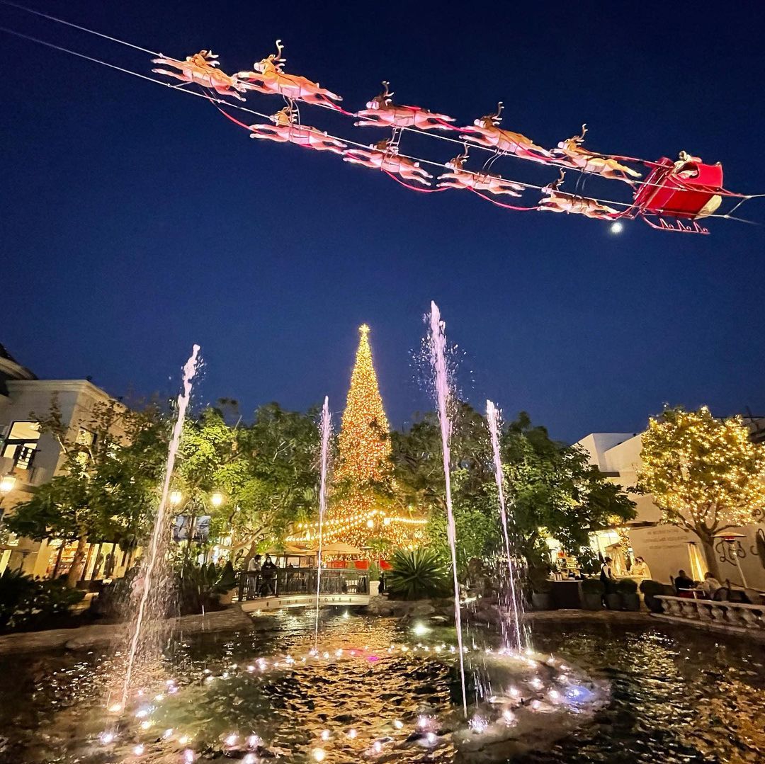 Where To Get A Real Christmas Tree In L A Copy Secret Los Angeles where-to-get-a-real-christmas-tree-in-l-a-copy-secret-los-angeles