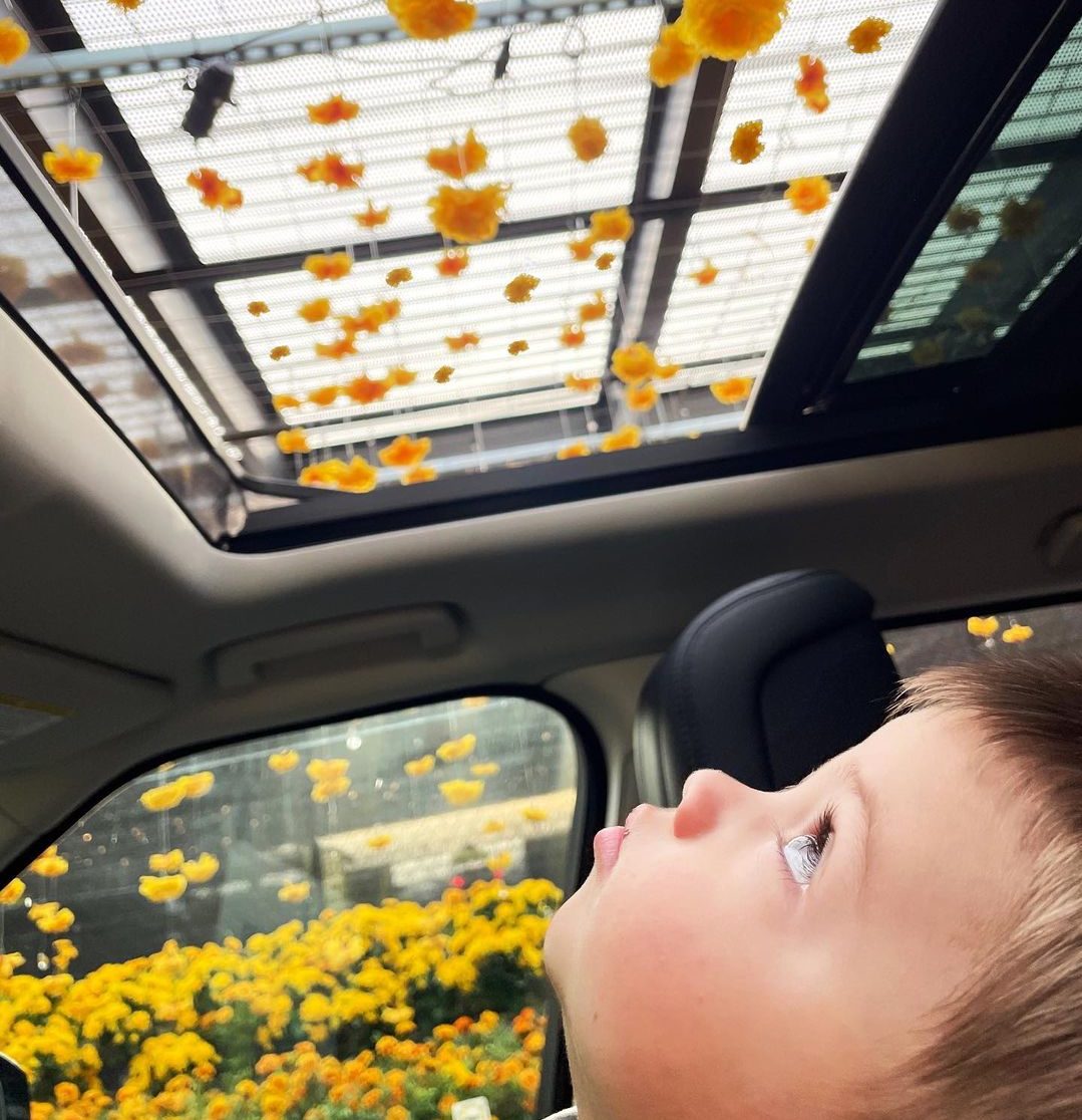 This Whimsical Drive-Thru Has Just Rolled Into L.A., And It’s Already ...