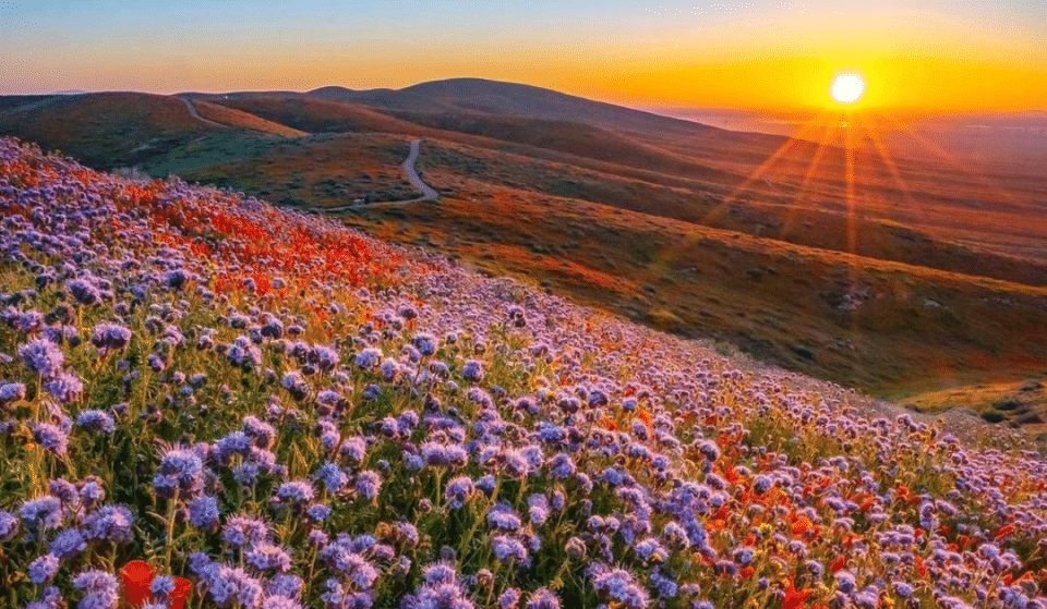 The top events, attractions and things to do in Los Angeles