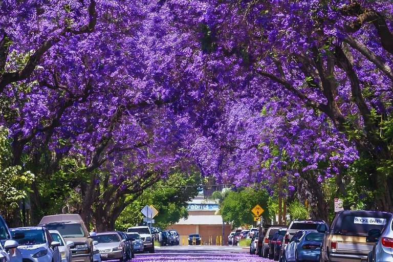 28 Best Activities And Things To Do This Spring Around L.A.