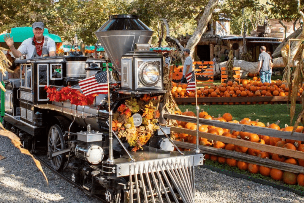 Los mejores huertos de calabazas de Los Ángeles para visitar este otoño