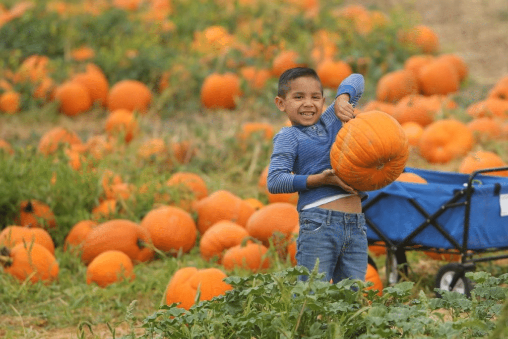 Los mejores huertos de calabazas de Los Ángeles para visitar este otoño