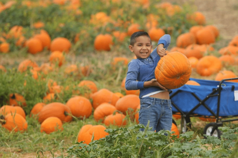 Los mejores huertos de calabazas de Los Ángeles para visitar este otoño