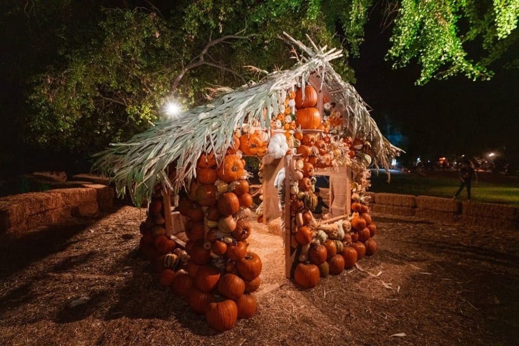 Los mejores huertos de calabazas de Los Ángeles para visitar este otoño