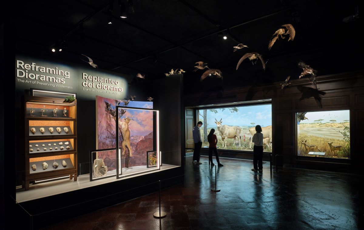 20 expositions d'art exceptionnelles à Los Angeles (été 2025)