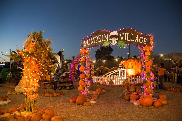 Los mejores huertos de calabazas de Los Ángeles para visitar este otoño