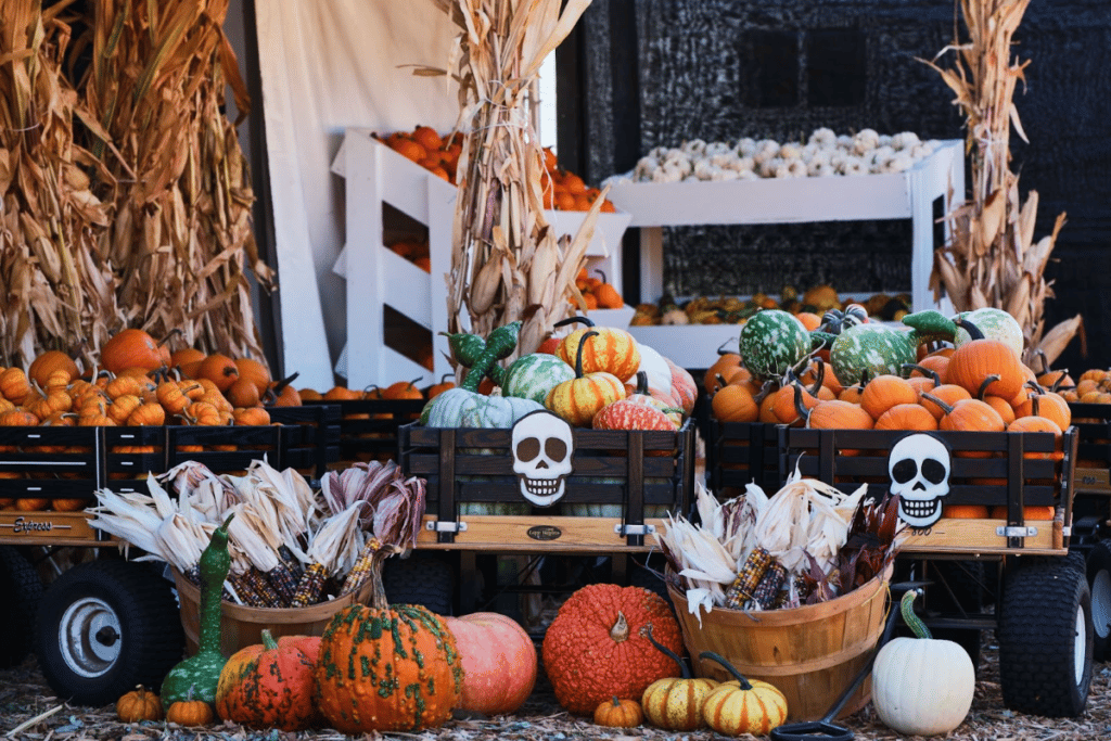 Celebrate All Things Autumn With The Family-Friendly Mr. Bones Pumpkin ...