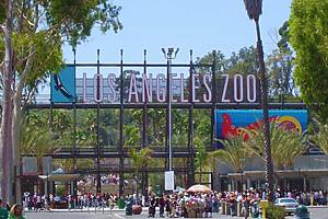11 Best Zoos In And Around Los Angeles