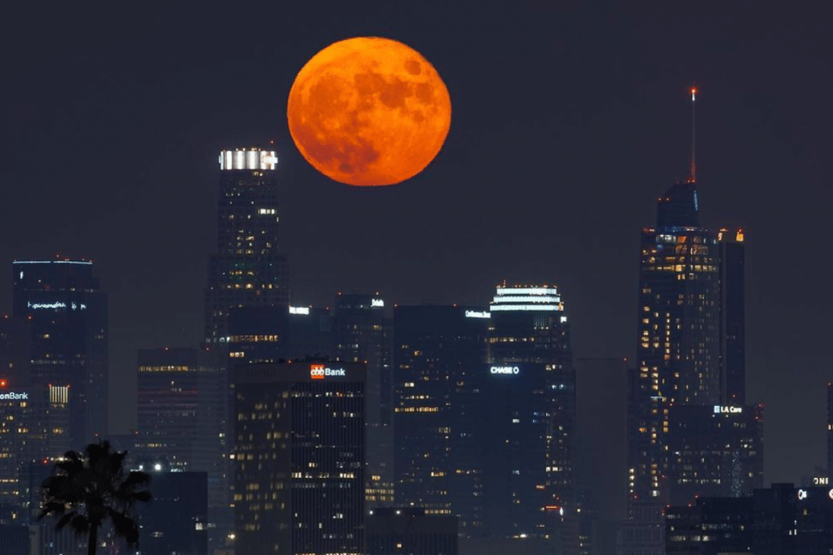 A Full Hunter's Moon Over L.A. Will Be The Brightest Of The Year