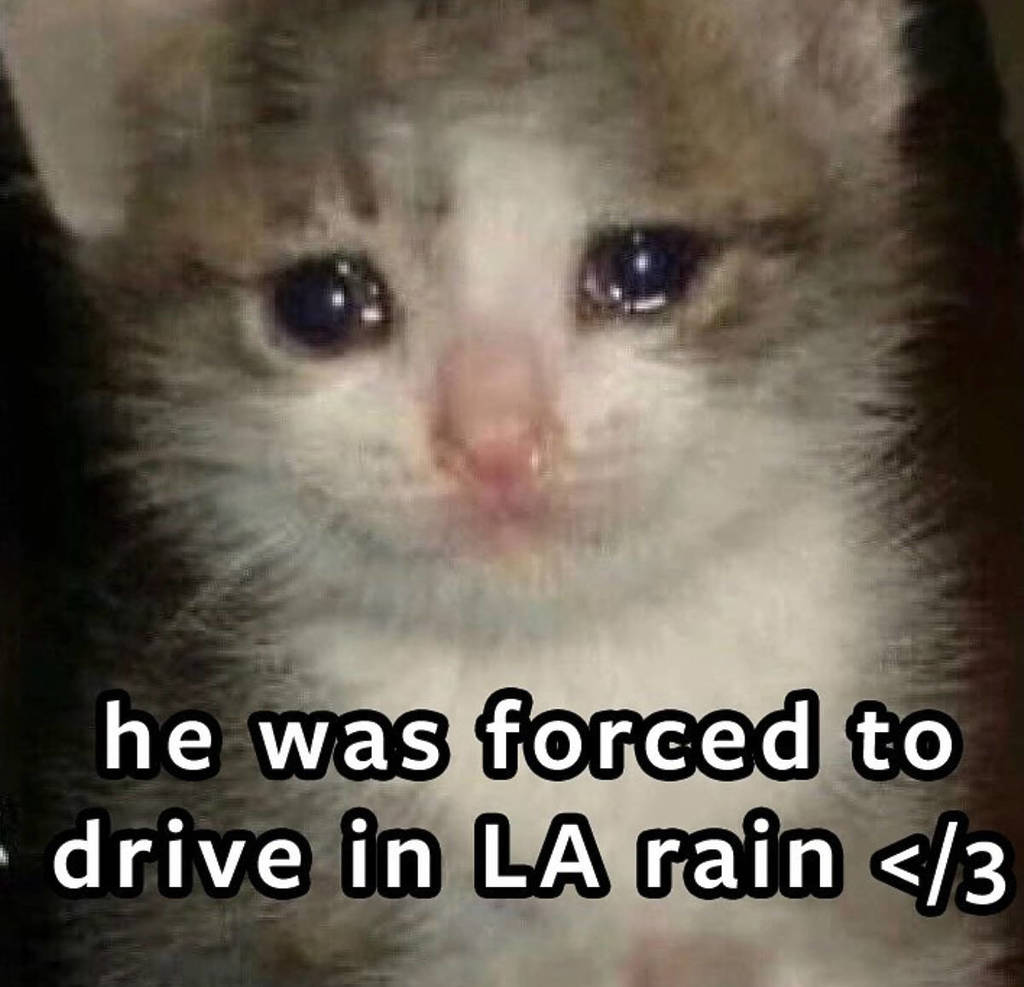 Memes That Sum Up Living In Los Angeles Right Now: Feb. 6