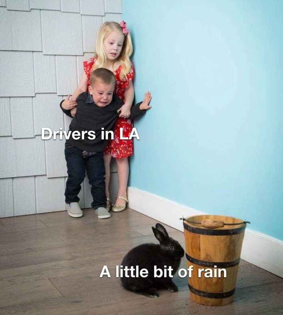 10 Memes That Sum Up Living In L.A. Right Now: Jan. 9