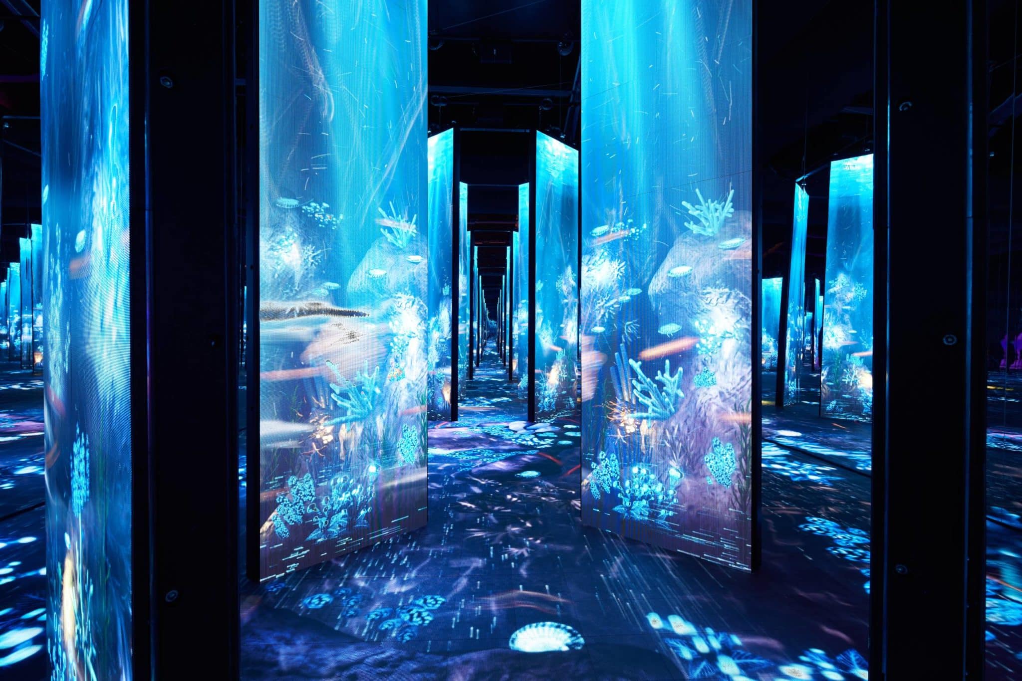 Dive Into The Whimsical 'Bubble World' Experience L.A.