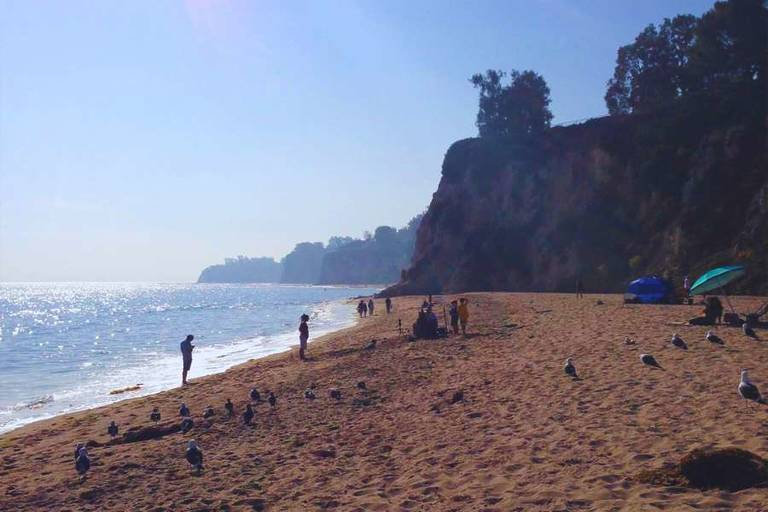 Best Beaches In LA For Swimming, Sunbathing And Surfing