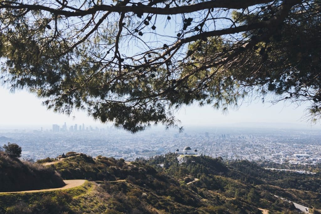 20 Best Parks In Los Angeles To Enjoy The Outdoors